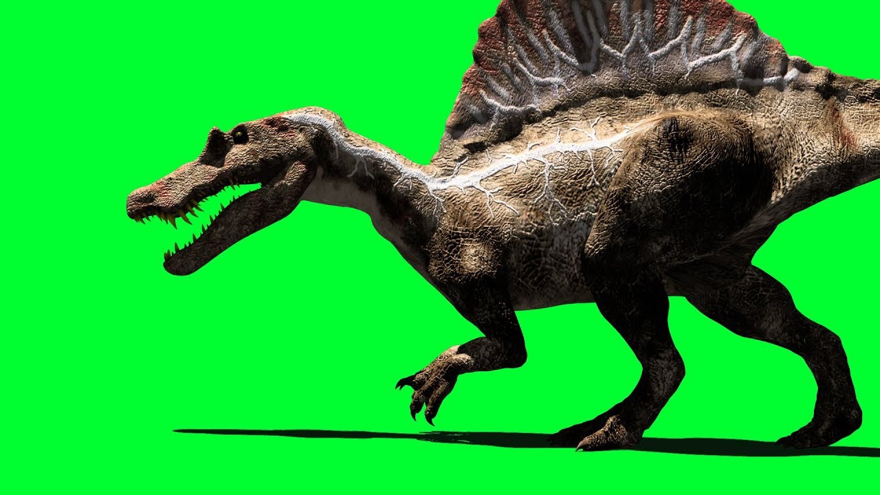 SPINOSAURUS WALK BITE ROAR ANIMATION BLUE SCREEN - YouTube