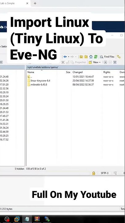 Import Linux (Tiny Linux) Ke EvE-NG - YouTube