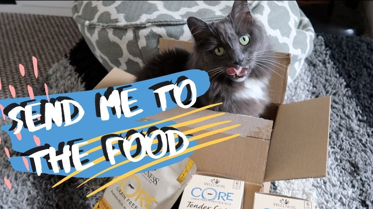 Cat OPENS Boxes AND Tries To Become A Parcel | Mail Time - YouTube