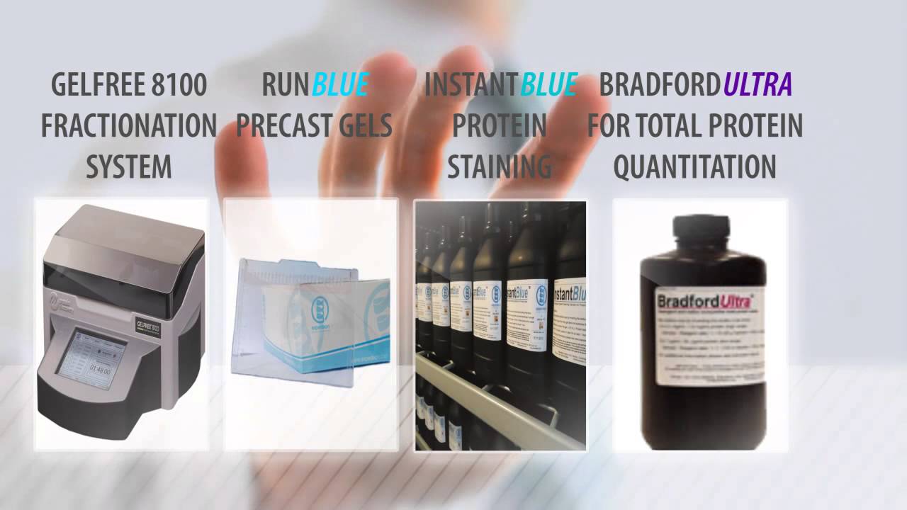 Expedeon protein discovery & analysis - YouTube