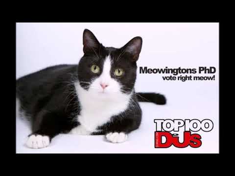 Deadmau5 - weekend at meowingtons (demo) - YouTube