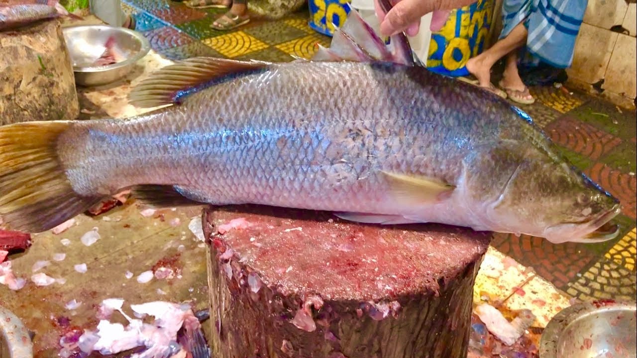How to Cut a Barramundi (Filleting Techniques)! Fish Cutting Skills ...