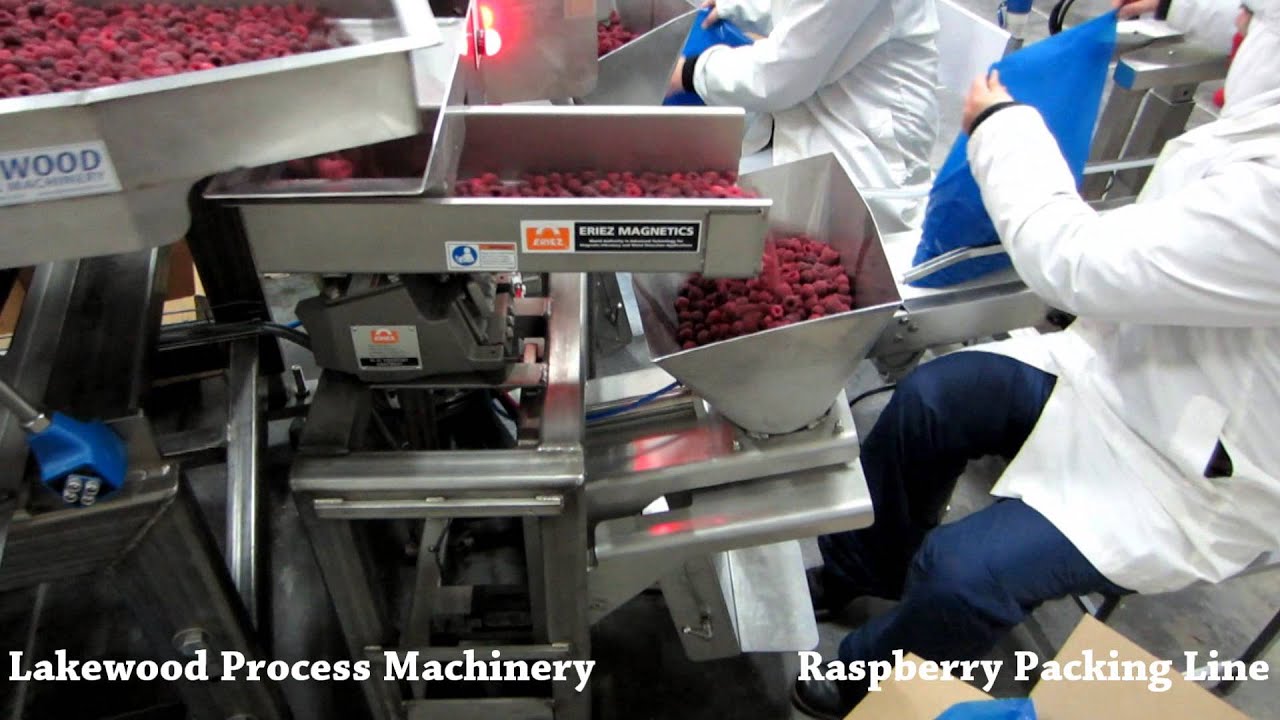 Raspberry Packing Line / Blackberry Packing Line, Lakewood Process ...