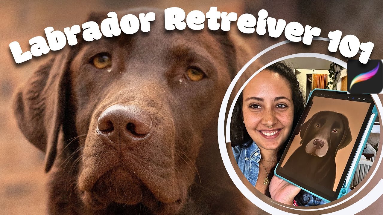 Labrador Retrievers: Exploring Breed Facts while Painting the Stunning ...