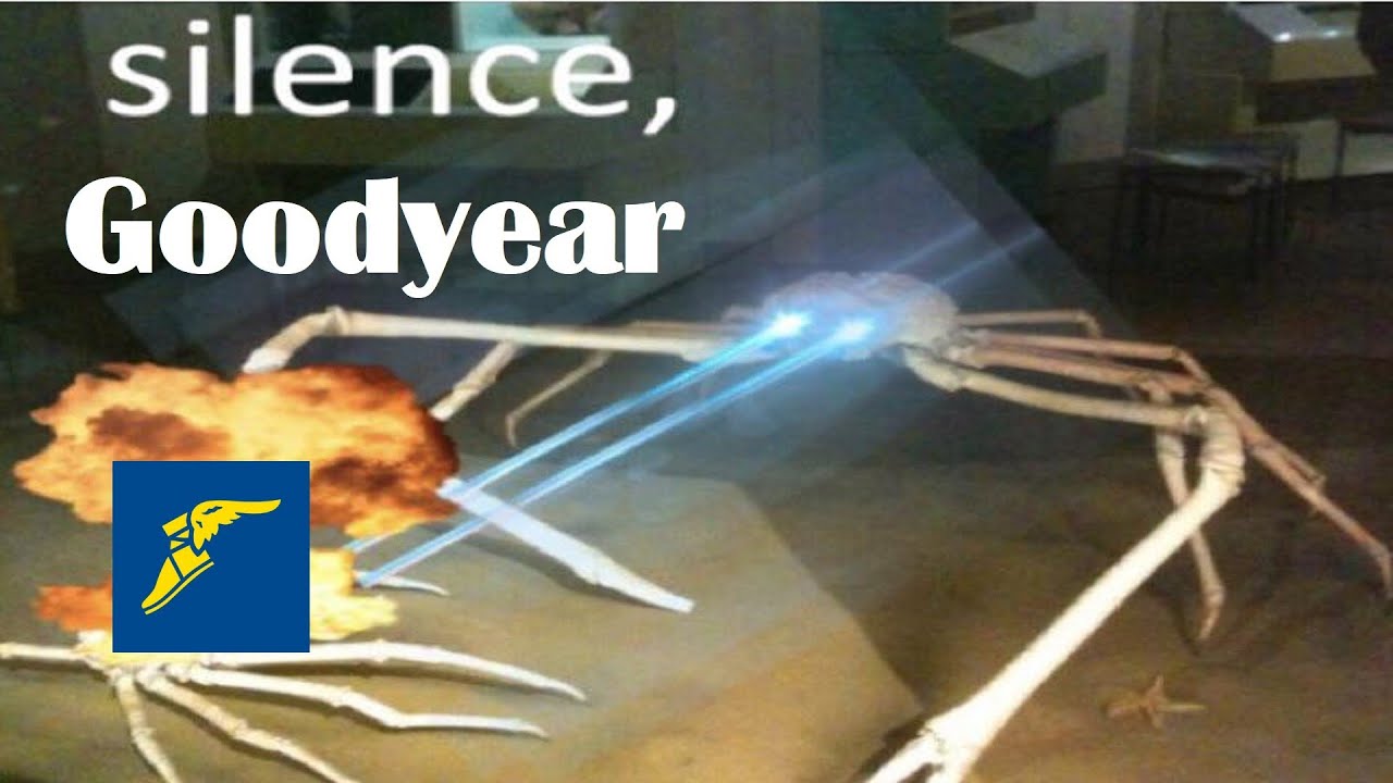 Silence Brand!!! (Goodyear Goes Woke!) - YouTube