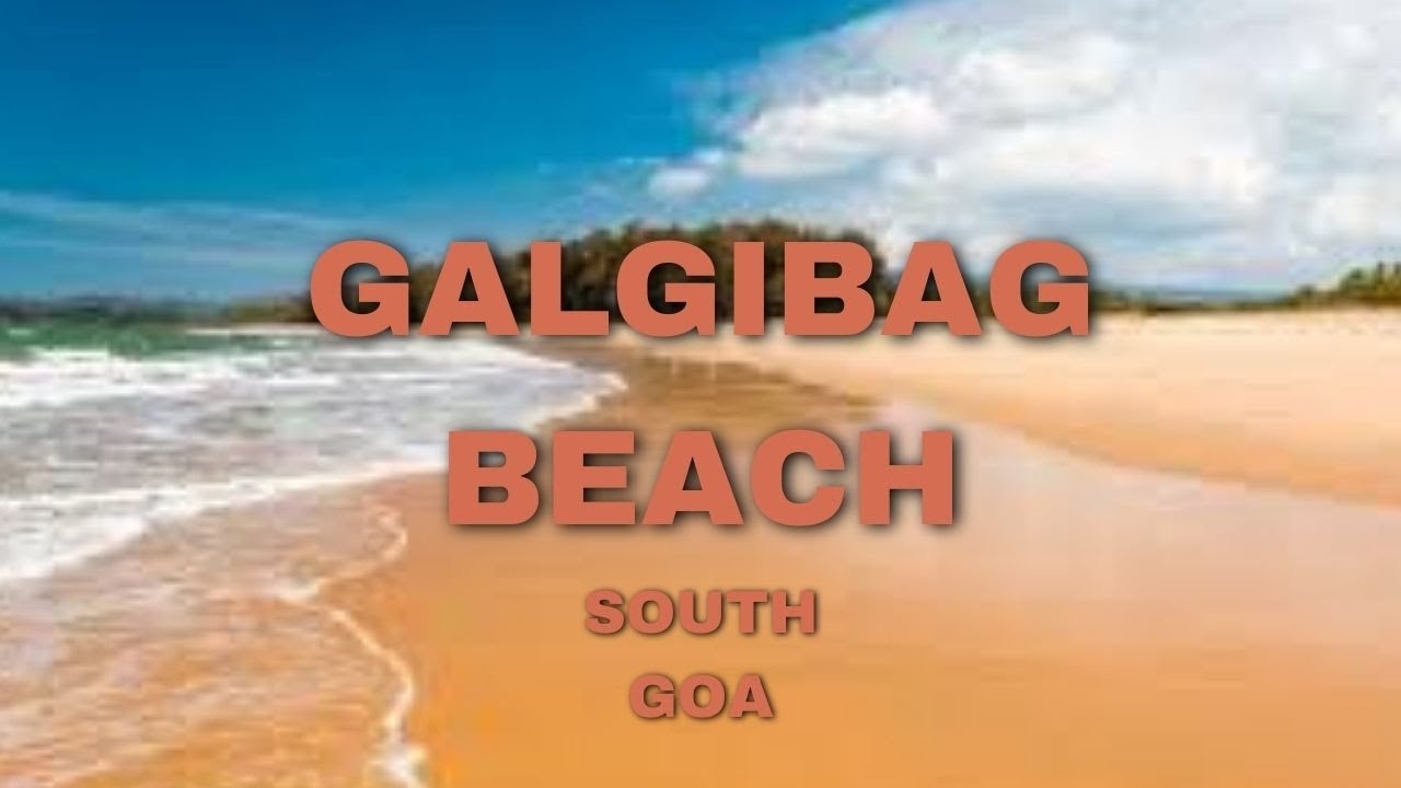 Beautiful Beach in goa | Galgibag Beach | Freah oysters | sea turtles 🐢 ...
