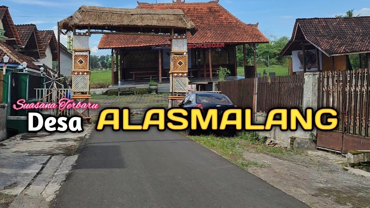 Update Terbaru !!! DESA ALASMALANG Singojuruh BANYUWANGI || Menjelang ...