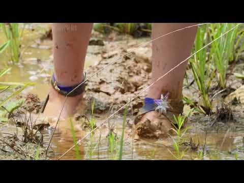 The girl's high heel got stuck in the mud.