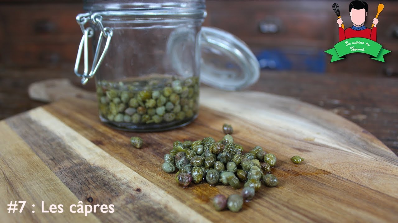 [Cours] - Les câpres - YouTube