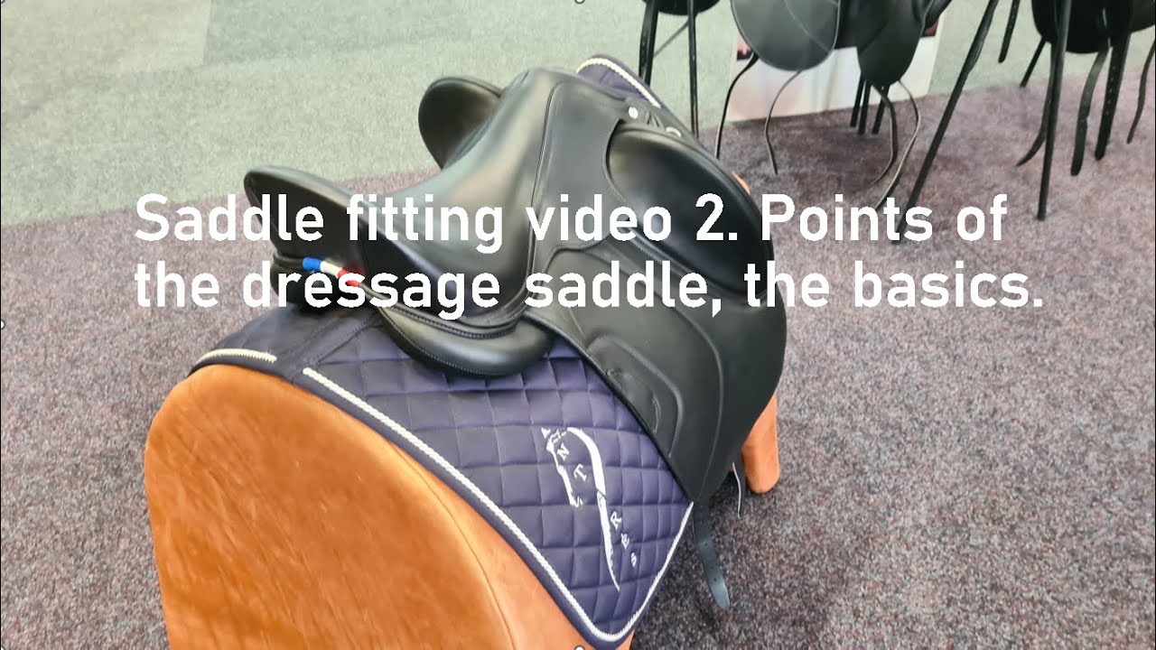 Points of a dressage saddle, the basics. Video 2, Saddle soreness and ...