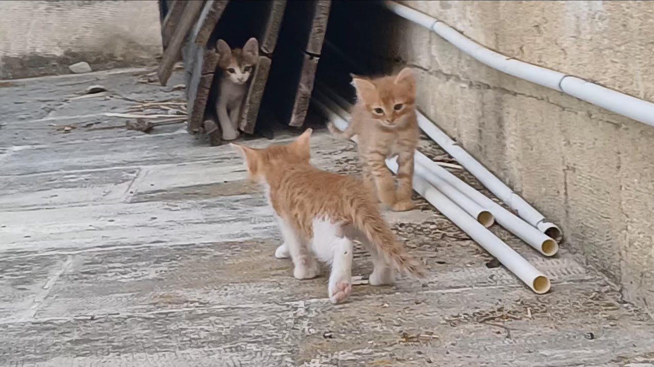 Only three now - YouTube