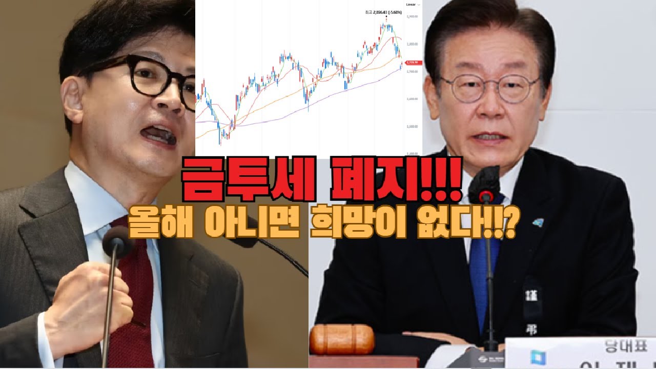 금투세 폐지가 가능할까 주식 금투세 금투세폐지 코스피 코스닥 한동훈 이재명 국민의힘 민주당 리딩 종목