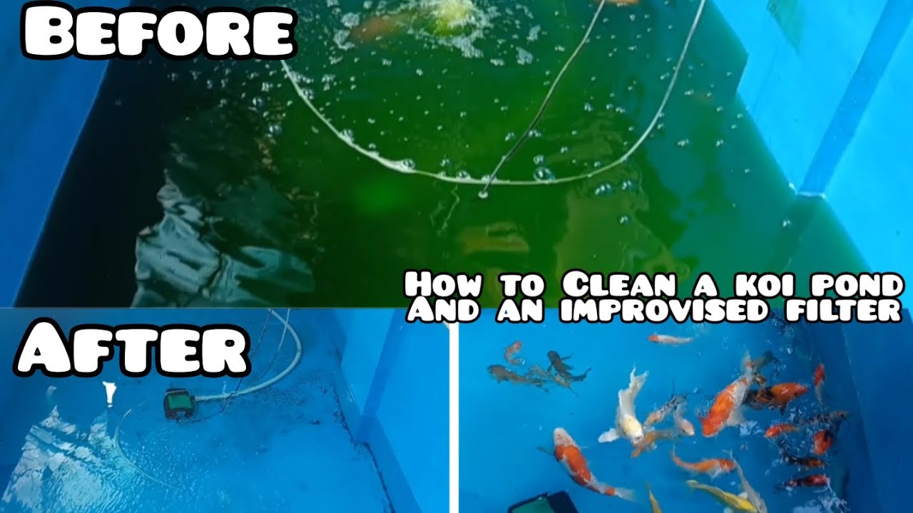 HOW TO CLEAN A KOI POND AND AN IMPROVISED FILTER - YouTube