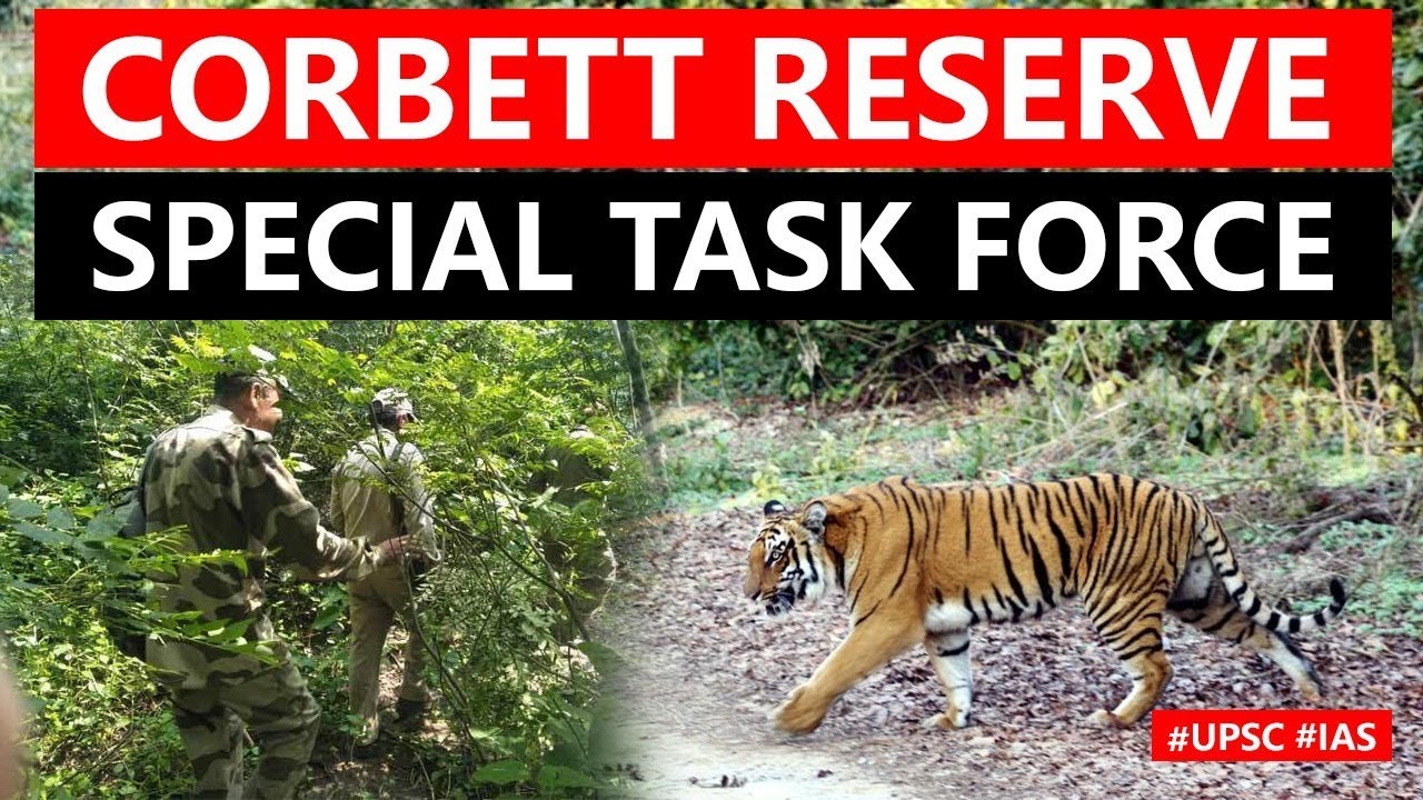 Jim Corbett National Park to get Special Task Force for Tiger ...