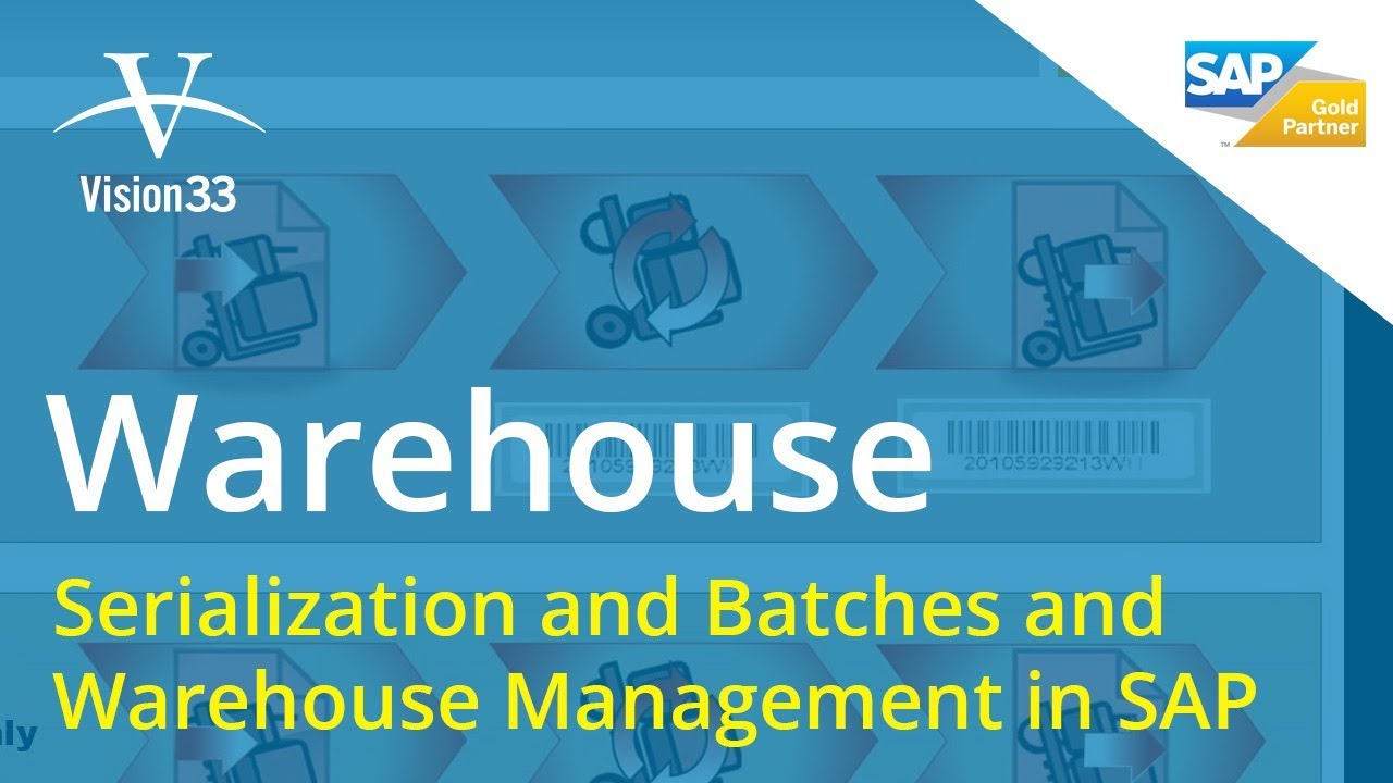 Basic Inventory Process: Serialization and Batches | Part 2 - YouTube