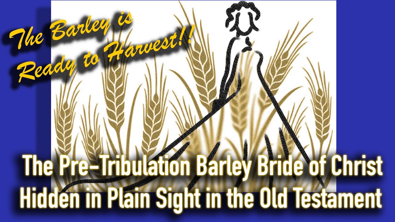 Barley Bride of Christ Hidden in Plain Sight in the OT - YouTube