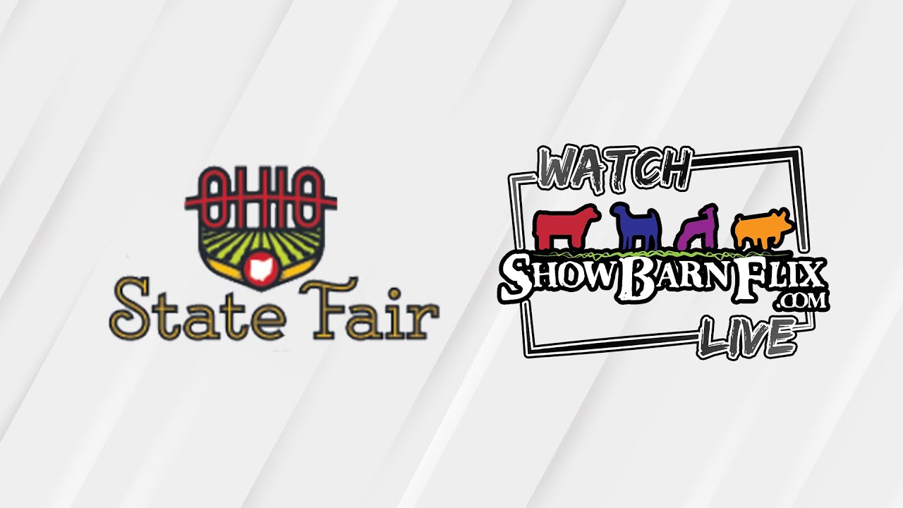 Open Market Lamb Show - Ohio State Fair 2024 - YouTube