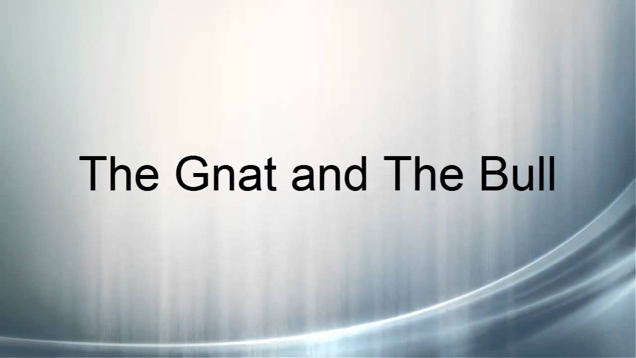 Fable - The Gnat and The Bull - YouTube