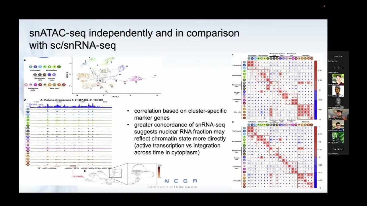 scSeq Techniques in Plant Biology: Part 2 - Andrew Farmer (NCGR, USA) - YouTube