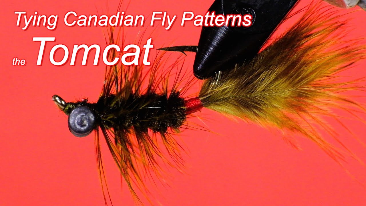 Tying Canadian Fly Patterns: the Tomcat (by Christopher Wojda) - YouTube