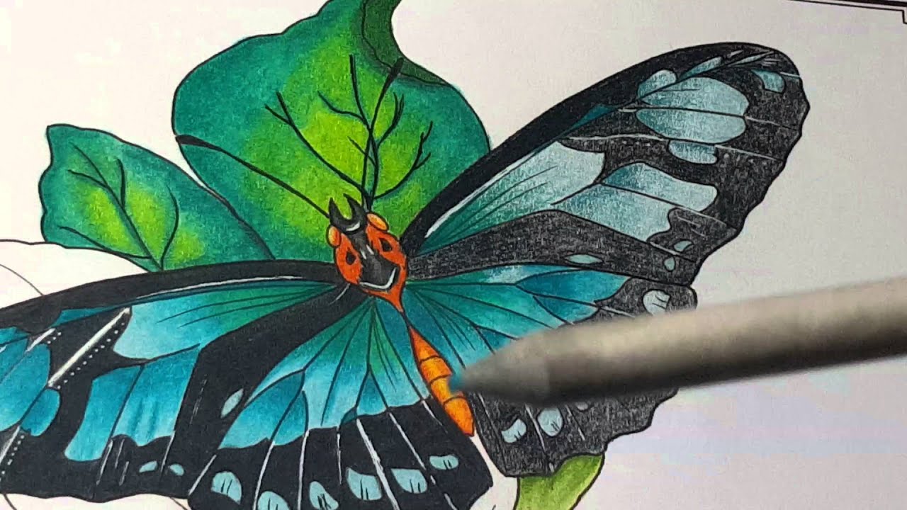 Split view of colored pencils and colored pencils with blending medium ...