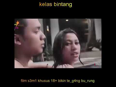 Kucing liar di rumahku kelas bintang 💥💥