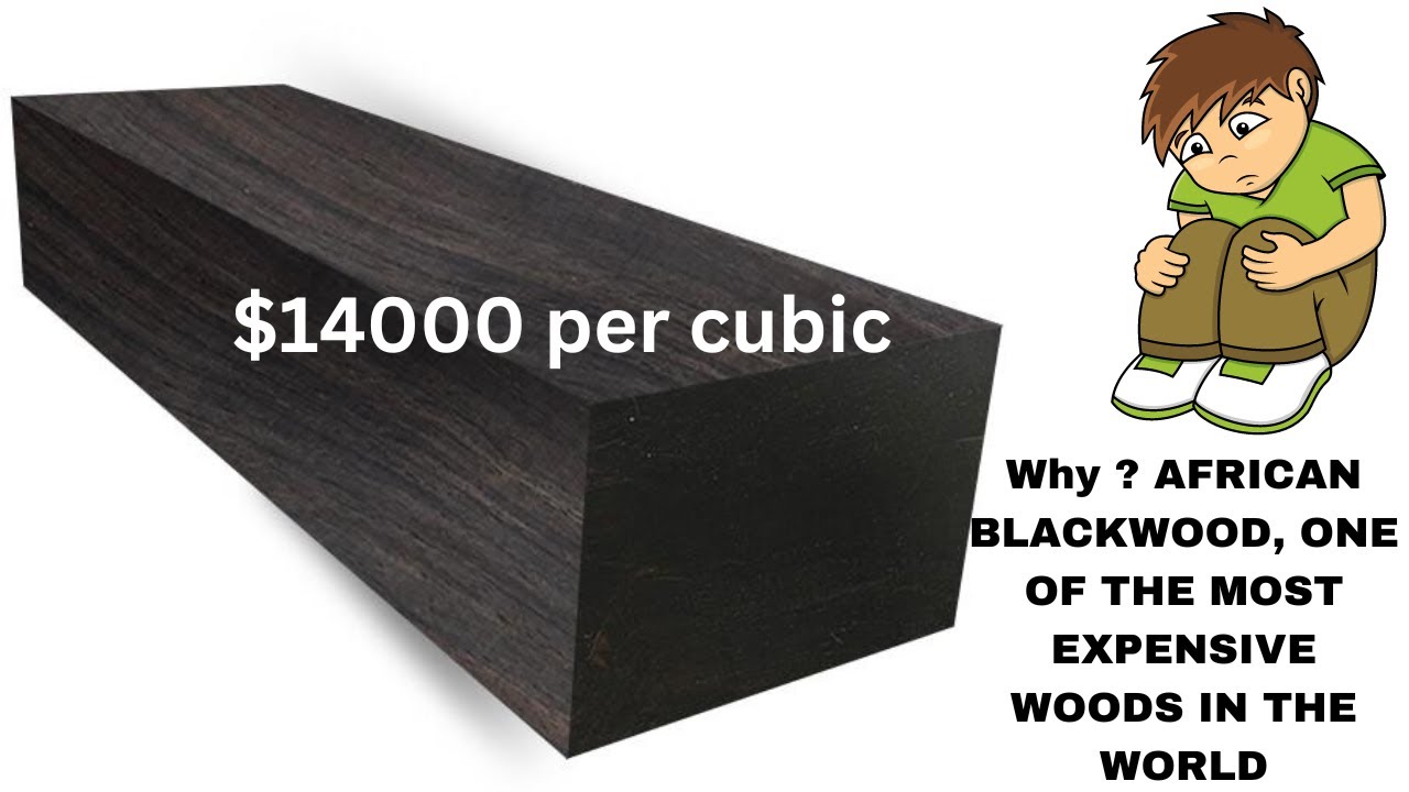 Why African Blackwood One Of The Most Expensive Woods In The World ...