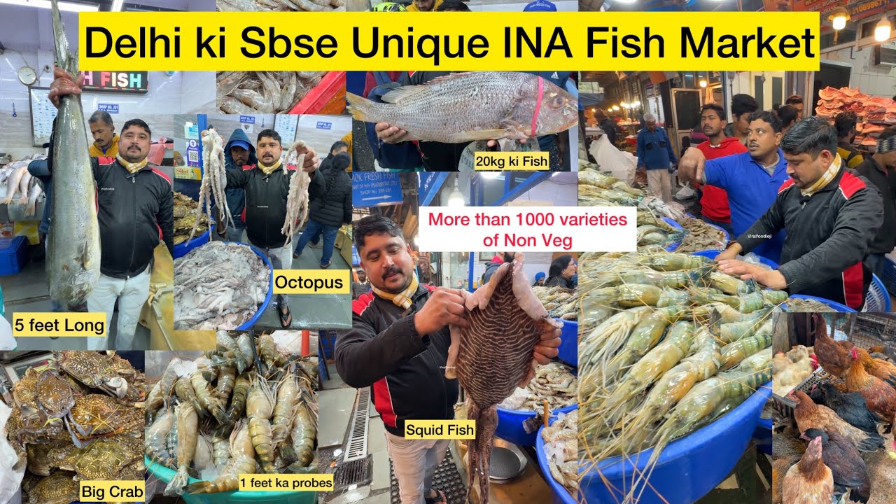 INA FISH MARKET 😱 More than 1000 varieties of Fish & Other Non-veg ...