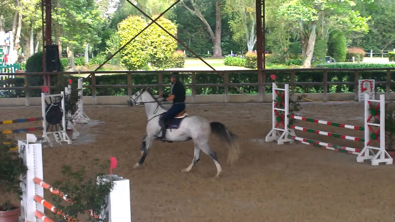 Felicité O 2015 febrero Club Arrayanes E. Marroquin - Caballos primer ...