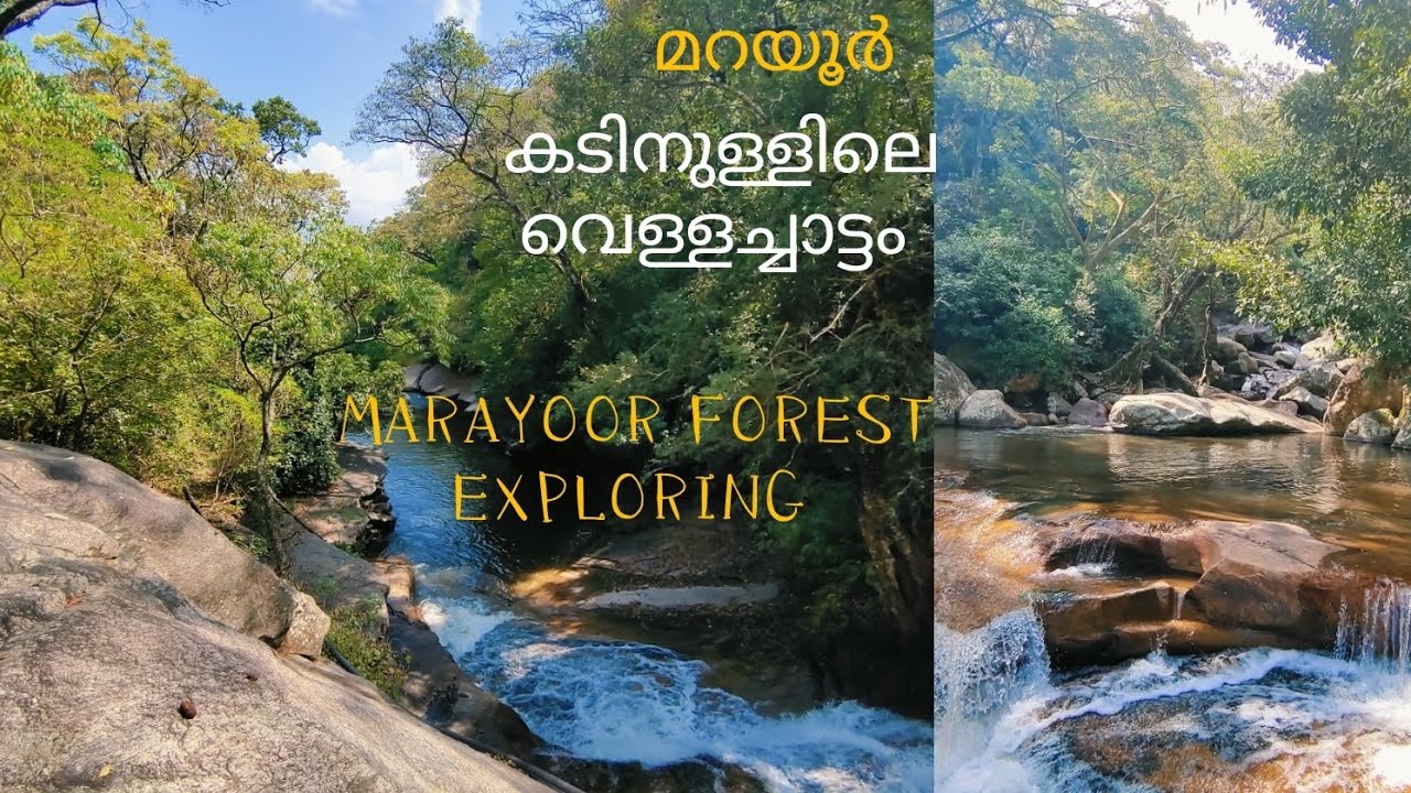 Marayoor trekking | A trek to the unknown forest of Marayur | Idukki ...