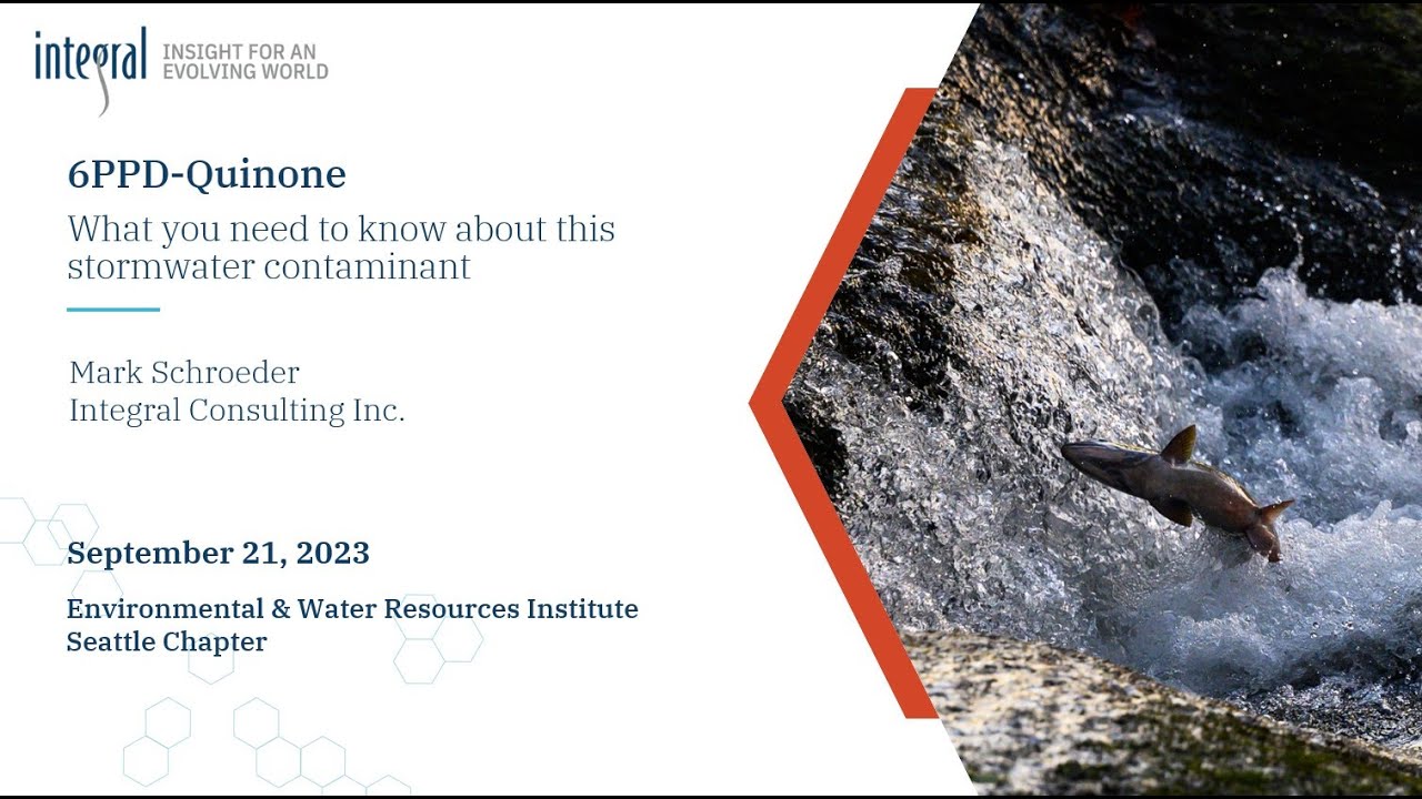 6PPD-quinone: What you need to know about the stormwater contaminant ...