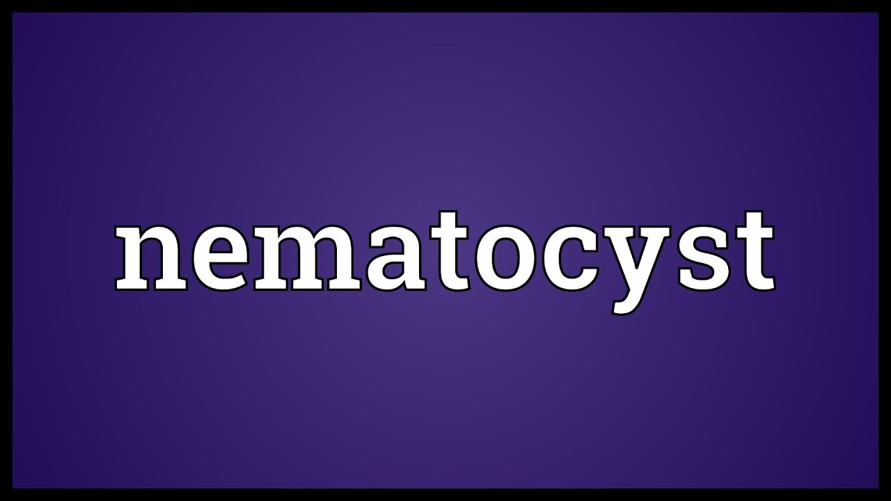 Nematocyst Meaning - YouTube