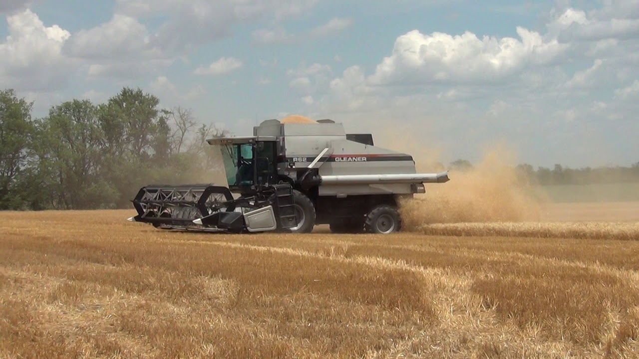 Gleaner R62 combining during 2108 wheat harvest near Hope, Kansas - YouTube