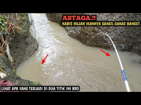 YA AMPUN.! IKANNYA GANAS GANAS BANGET || MANCING SEHABIS HUJAN DAN BANJIR LIHAT APA YANG TERJADI ...
