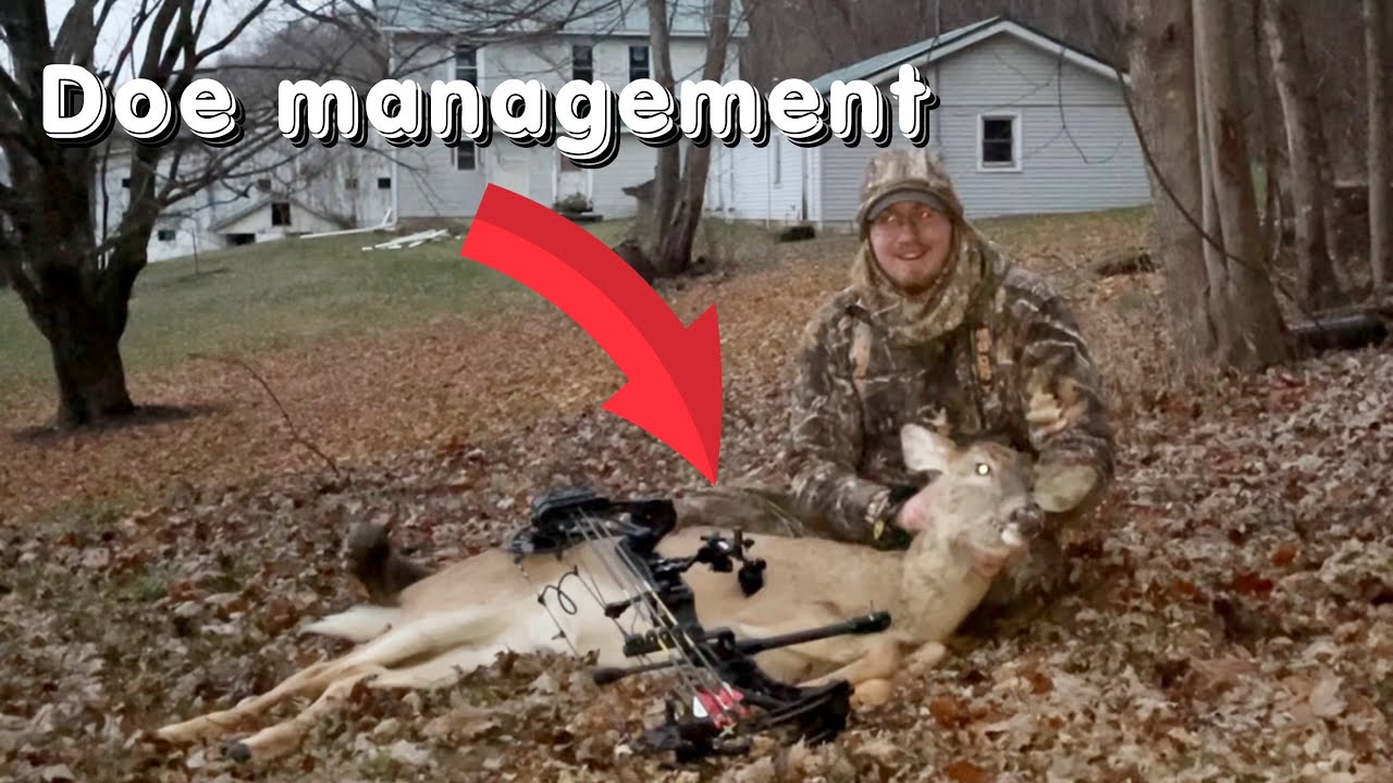 Late season Doe management! - YouTube
