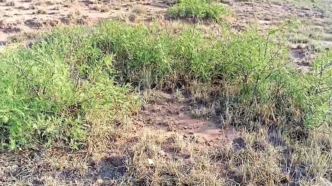 The Rock House at Stinking Springs - YouTube