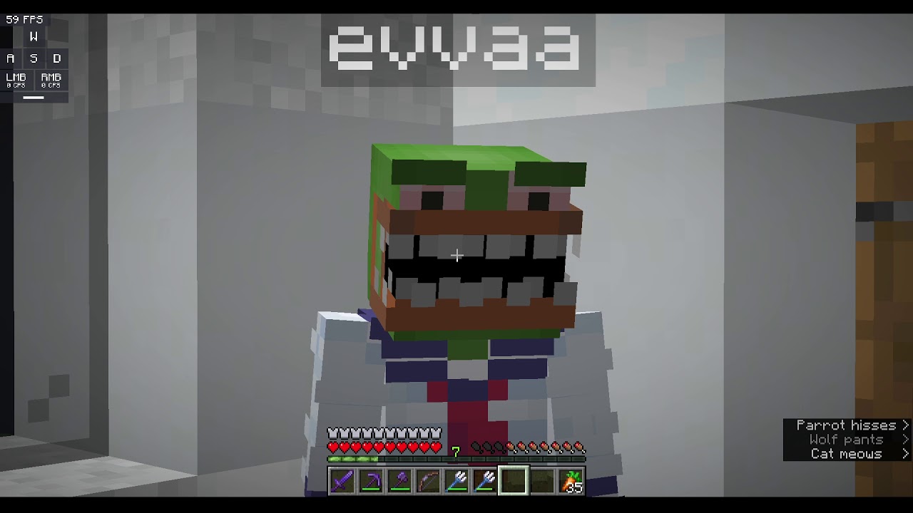 CAT SMP in a nutshell. - YouTube