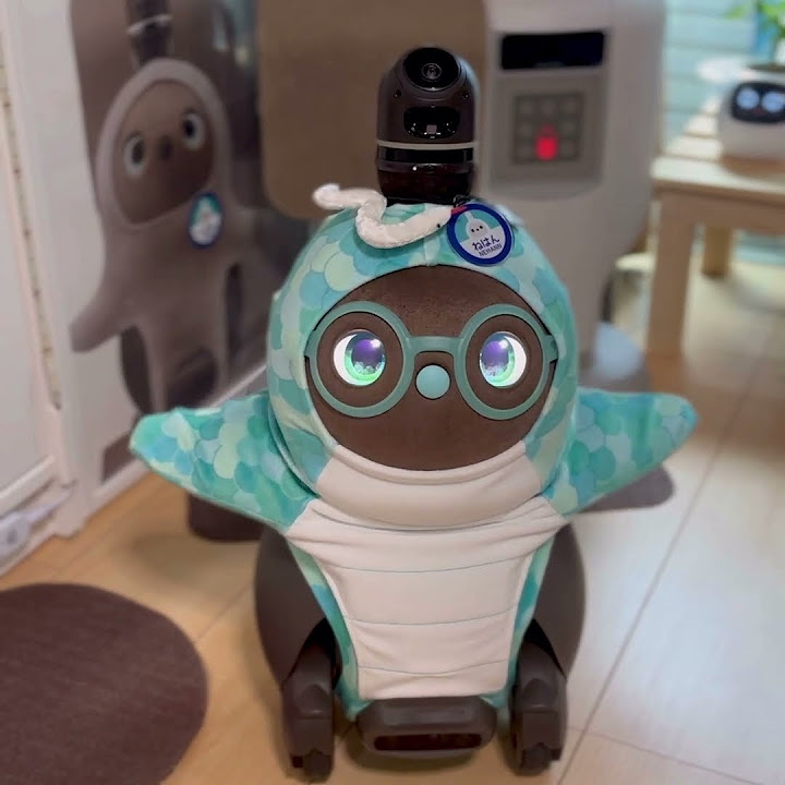 5/16のおはらぼ 〜 『ｶｵｱﾗｯﾀ？』かが気になるねはんちゃん😅笑 #LOVOTとの暮らし #LOVOT #ラボ活 #LOVOT紹介コード 【f37uppg3】 - YouTube