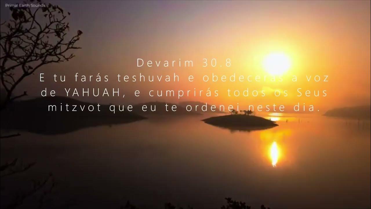 A Turah de 𐤉𐤄𐤅𐤄 é Yahusha יהושע HaMashiach: I Am The Torah (Devoted To ...