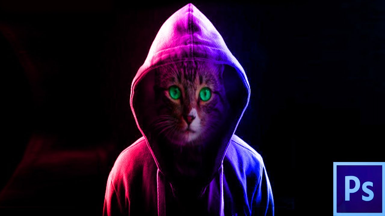 Photoshop Tutorial how To Make A Hacker Cat And Lighting Effects In Photoshop 2020 YouTube photoshop-tutorial-how-to-make-a-hacker-cat-and-lighting-effects-in-photoshop-2020-youtube