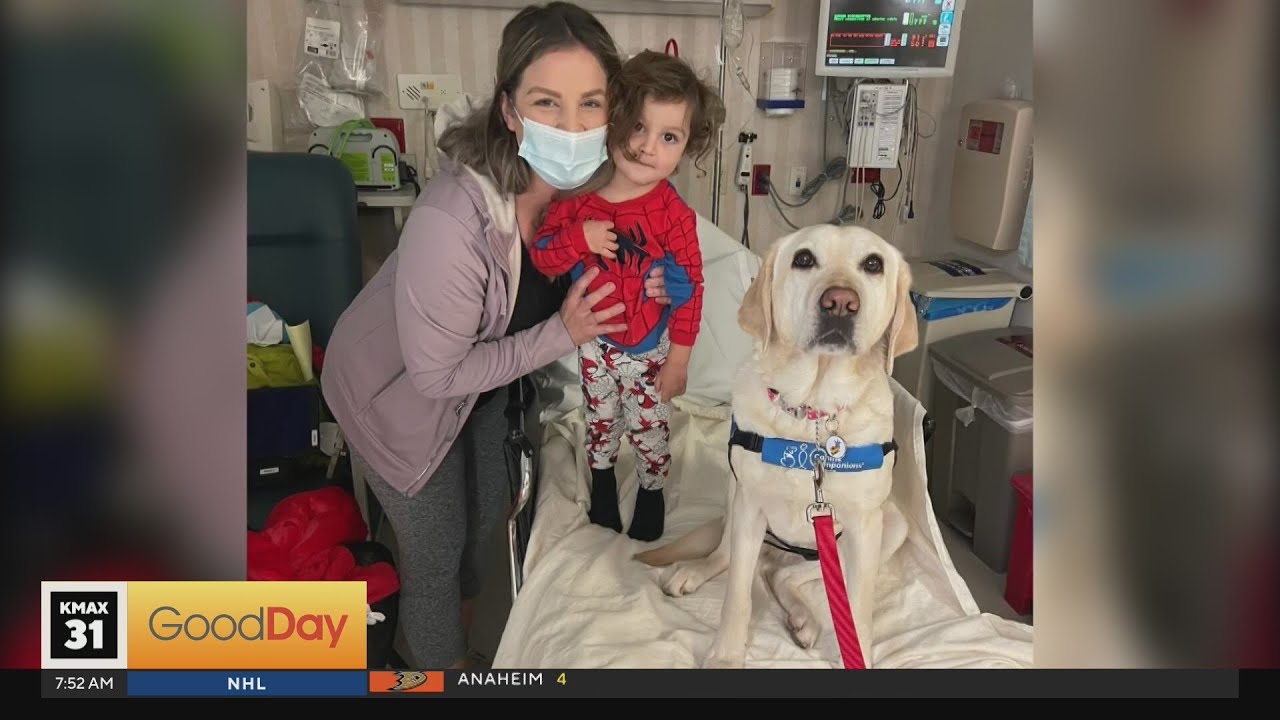 Celebrating National Service Dog Month with Bria - YouTube