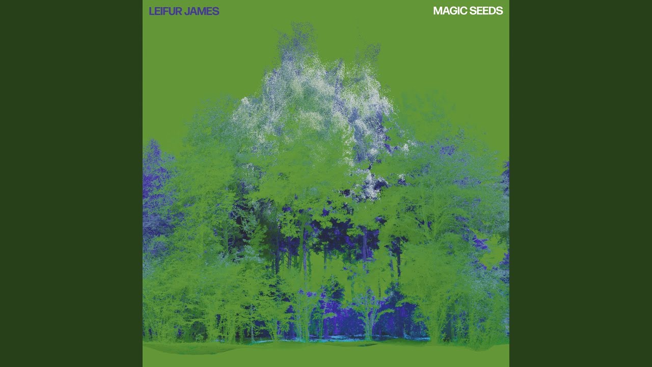 Magic Seeds - YouTube