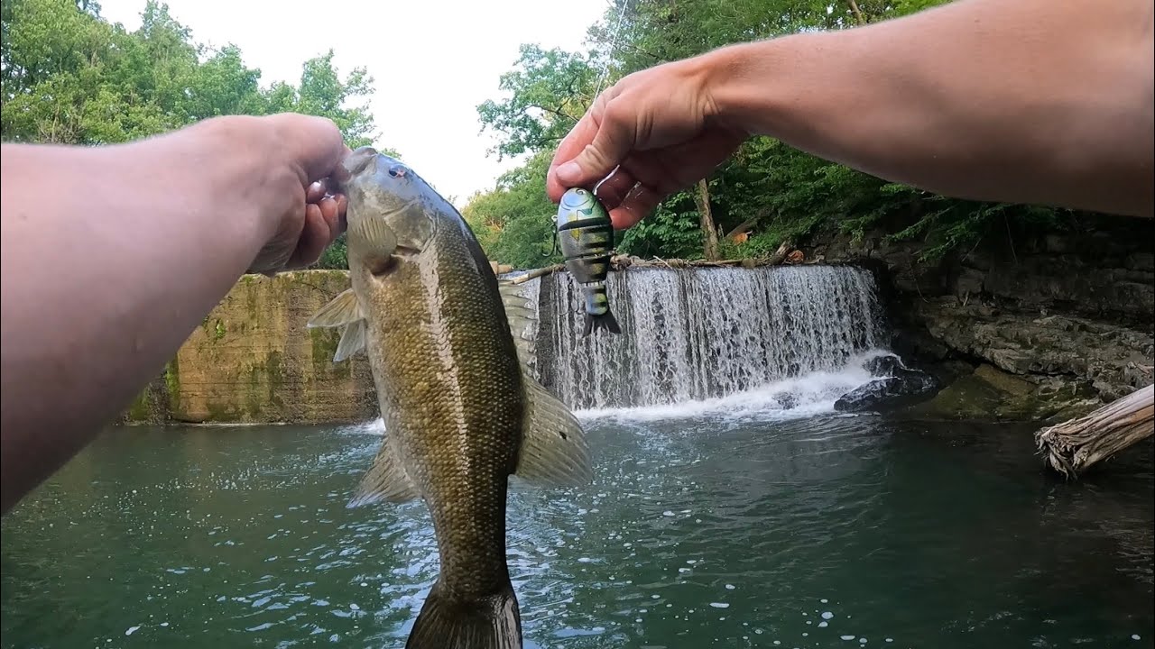 Small creek fishing with a big swim bait. - YouTube