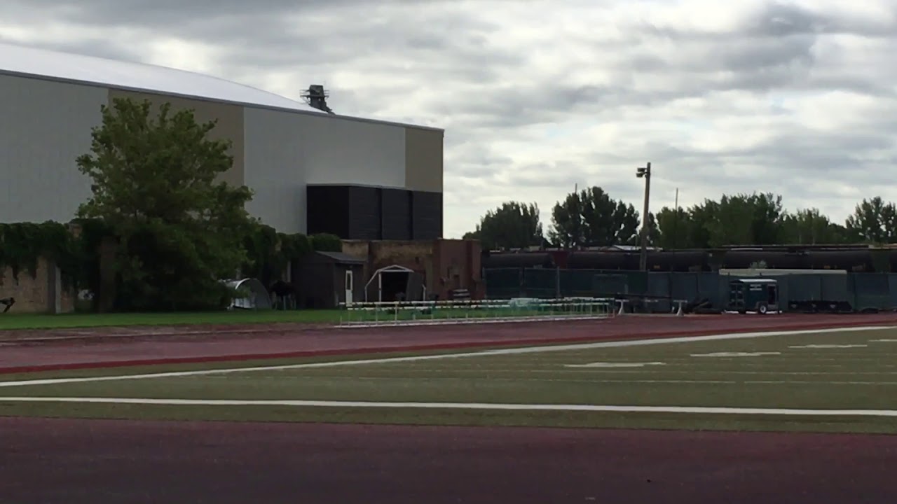 UPDATE: Moose at UND Memorial Stadium - YouTube