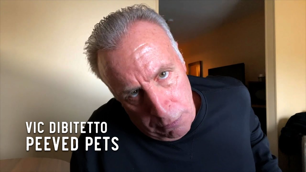 Peeved pets - YouTube