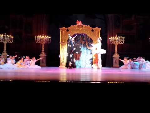 Cami practice of ballerina doll