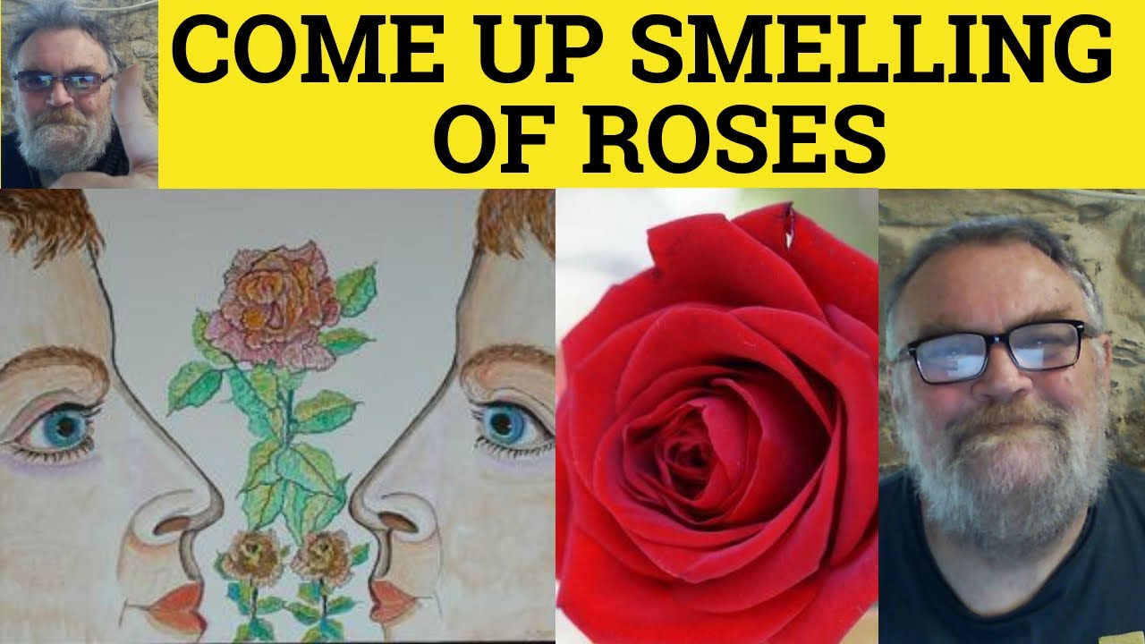 Come Up Smelling Of Roses Meaning Idioms Come Out Smelling Of come-up-smelling-of-roses-meaning-idioms-come-out-smelling-of