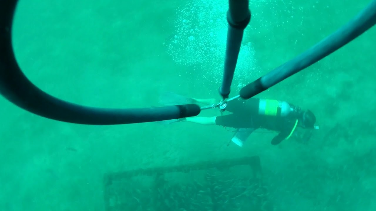 Destin (FL) Diving - YouTube