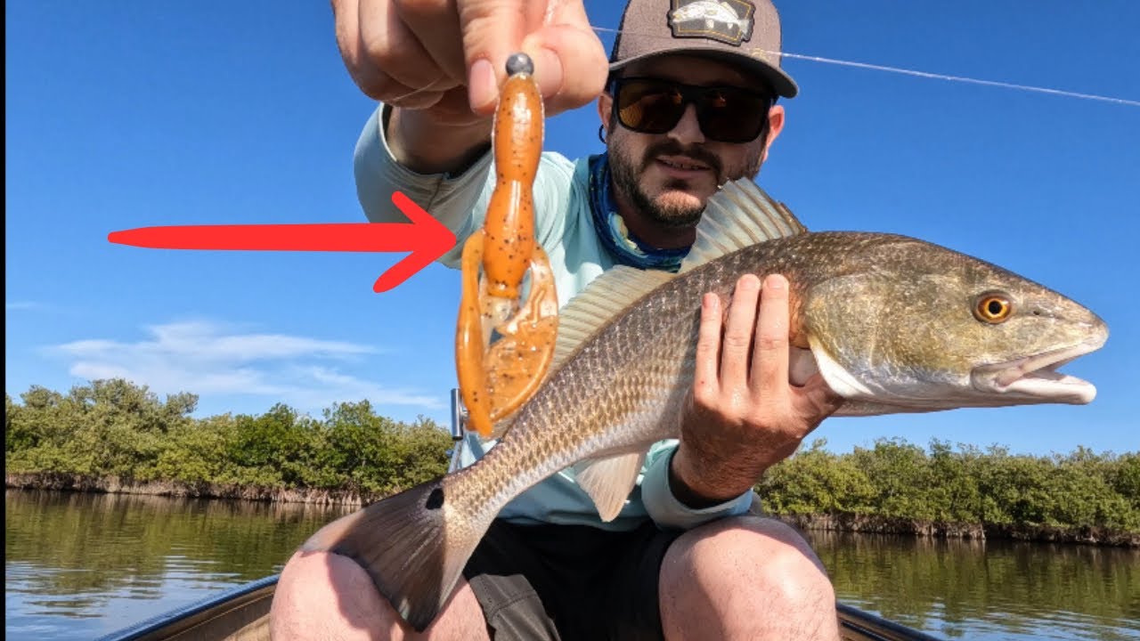 Redfish LOVE this BASS lure!! - YouTube