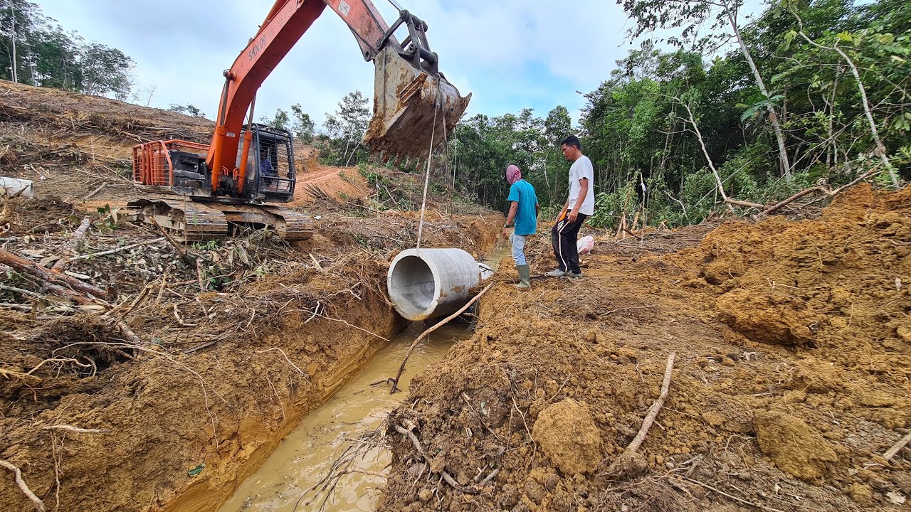 Pembukaan Lahan Kebun Sawit || Survey Penentuan Jalan Produksi - YouTube